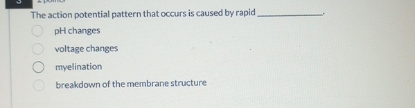 Solved The action potential pattern that occurs is caused by | Chegg.com