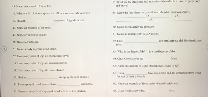 Solved 58. What are the structures that the spiny-skinned | Chegg.com