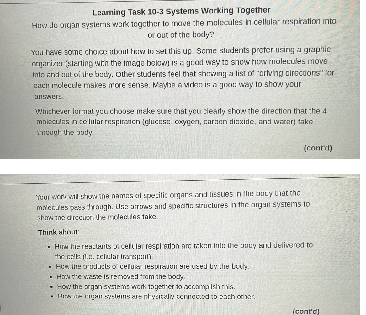 Solved Learning Task 10-3 ﻿Systems Working TogetherHow do | Chegg.com