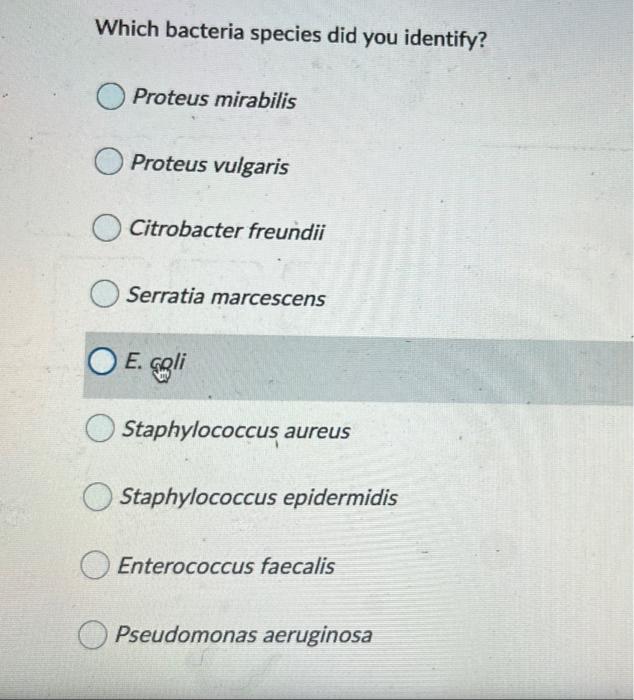 Solved Indole VP Citrate Which bacteria species did you | Chegg.com