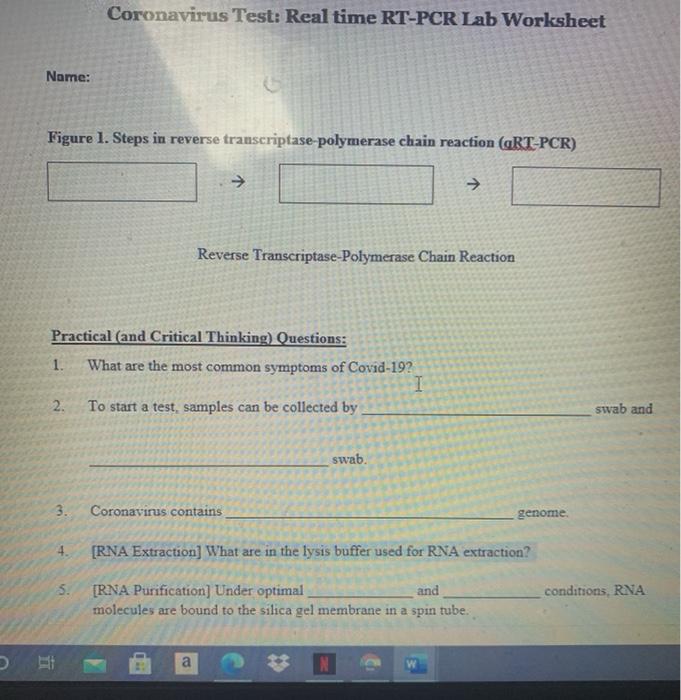 Solved Coronavirus Test: Real time RT-PCR Lab Worksheet | Chegg.com