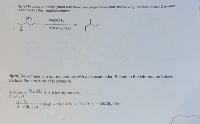 Solved 5pts) Provide a model (must use Newman projections) | Chegg.com