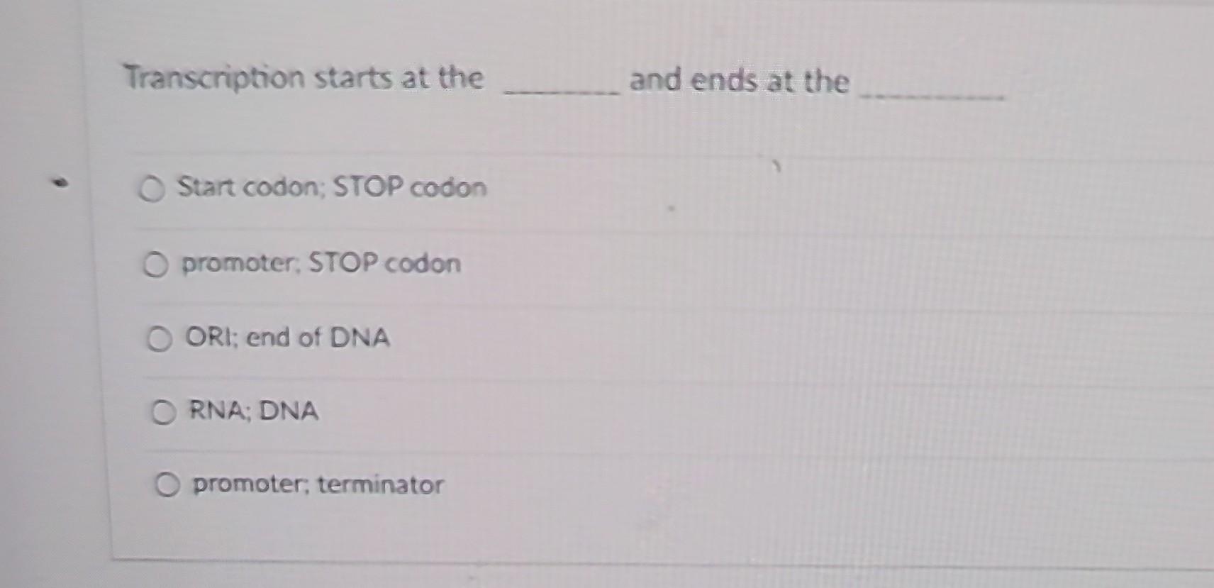 Solved Transcription starts at the and ends at the Start | Chegg.com