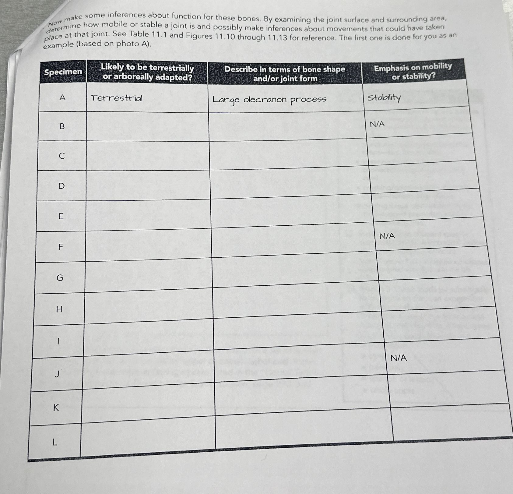 Solved Now make some inferences about function for these | Chegg.com
