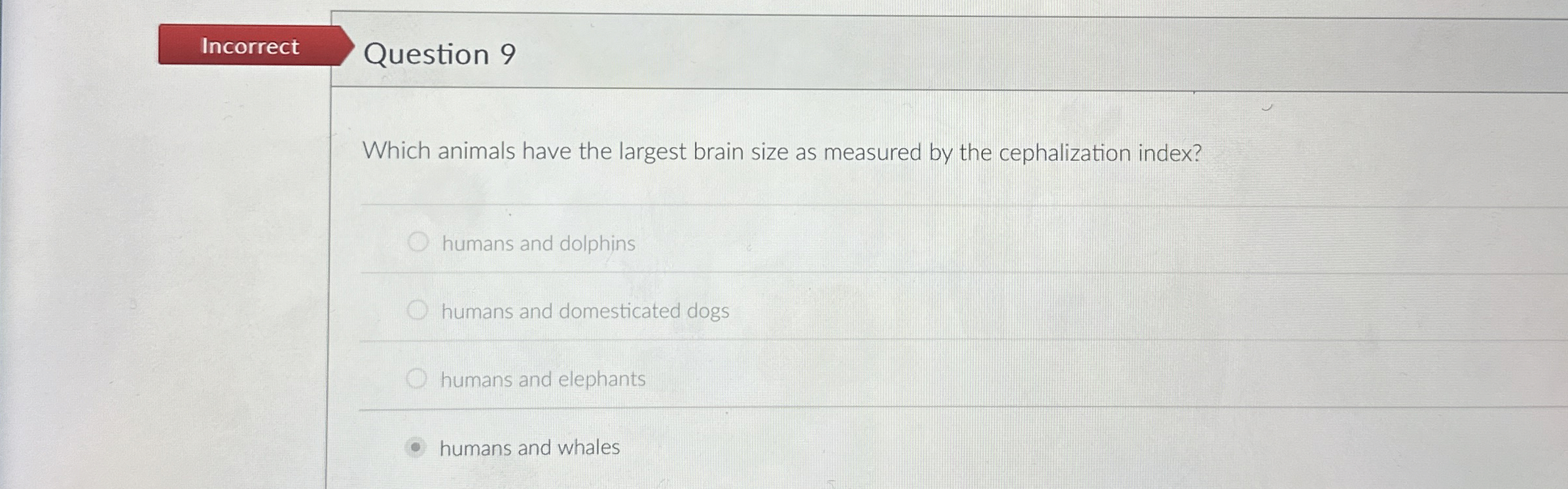 Solved Question 9Which animals have the largest brain size | Chegg.com