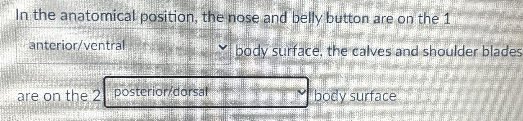 Solved In the anatomical position, the nose and belly button | Chegg.com