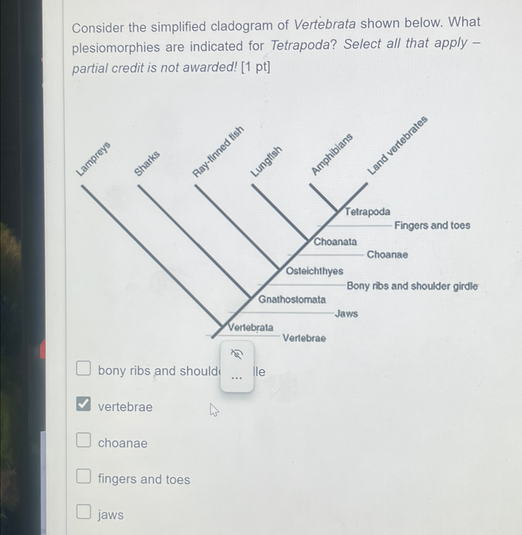 Solved Consider the simplified cladogram of Vertebrata shown | Chegg.com