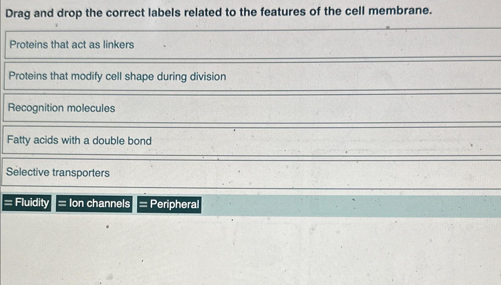 Solved Drag and drop the correct labels related to the | Chegg.com