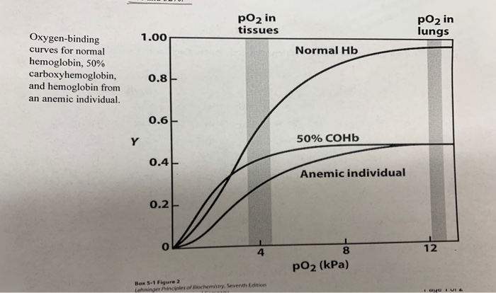 Solved pO2 in tissues pO2 in lungs 1.00 Normal Hb | Chegg.com