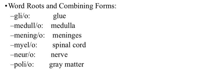Solved - Word Roots and Combining Forms: -gli/o: -medull/o: | Chegg.com