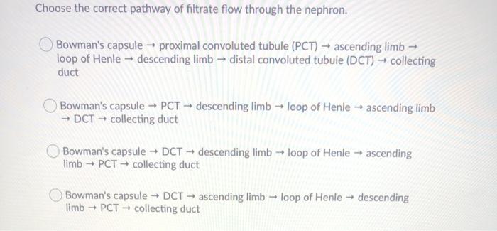 Solved Choose the correct pathway of filtrate flow through | Chegg.com