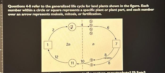 Questions 4−8 refer to the generalized life cycle for | Chegg.com