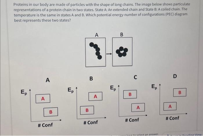 Solved Proteins in our body are made of particles with the | Chegg.com