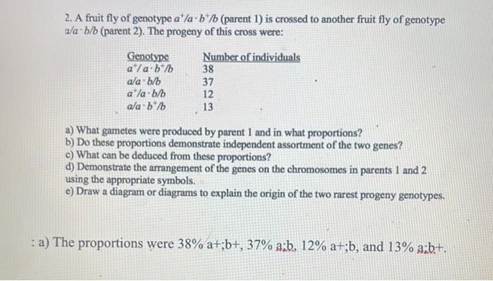 Solved 2. A fruit fly of genotype a+/a⋅b+/b (parent 1 ) is | Chegg.com