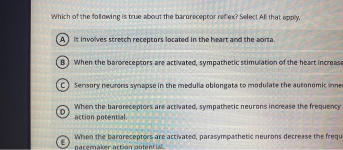 Solved Which of the following is true about the baroreceptor | Chegg.com