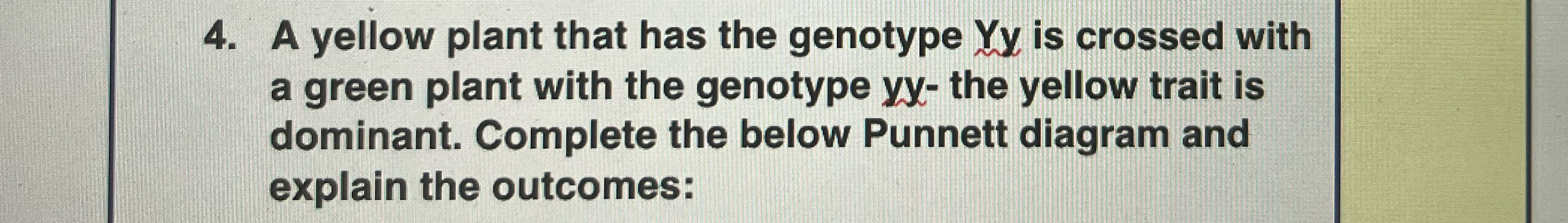 Solved A yellow plant that has the genotype Yy ﻿is crossed | Chegg.com