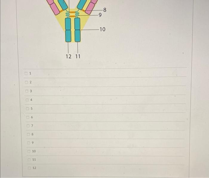 Solved The Bohr effect refers to The decrease in affinity of | Chegg.com