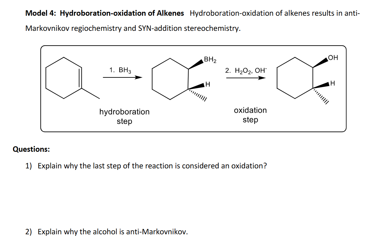 Solved Model 4: Hydroboration-oxidation of Alkenes | Chegg.com