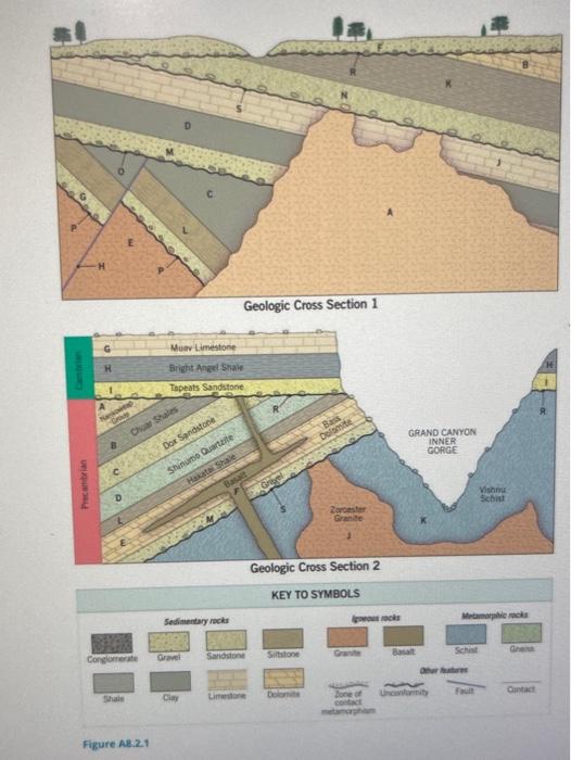 B REFLECT 8. DISCUSS Return to Geologic Cross-Section | Chegg.com