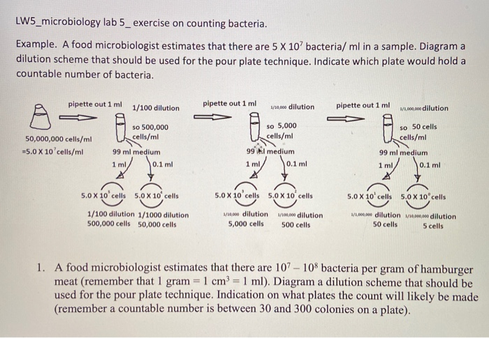 Solved LW5_microbiology lab 5_ exercise on counting | Chegg.com