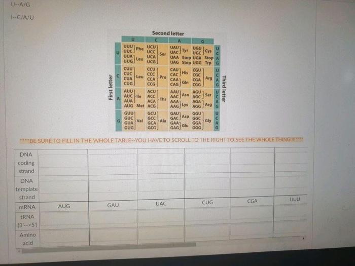 Solved The mRNA sequence written in the table below encodes | Chegg.com