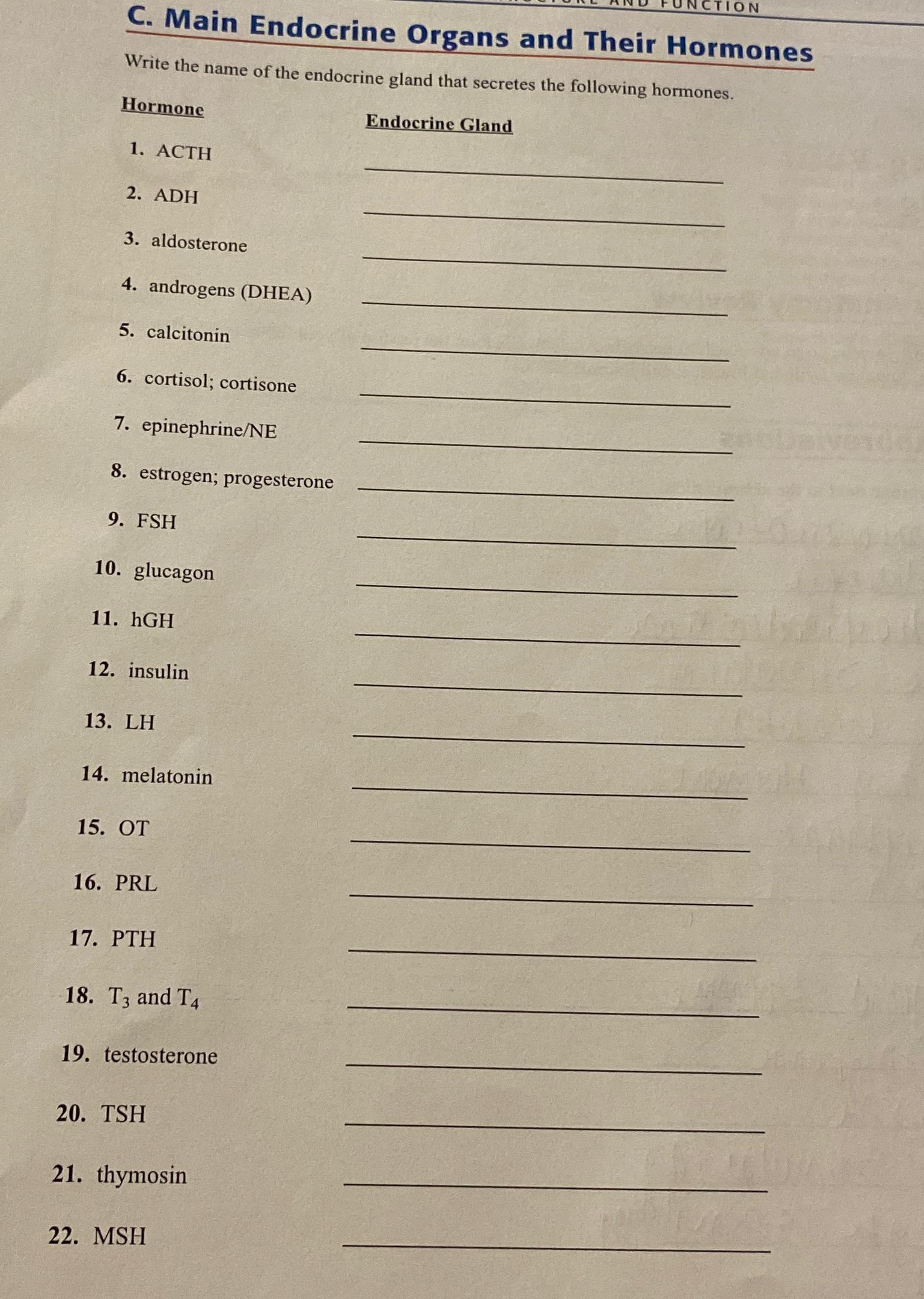 Solved C. ﻿Main Endocrine Organs and Their HormonesWrite the | Chegg.com