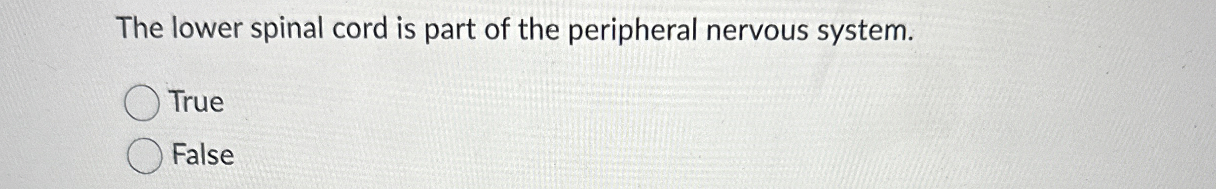 Solved The lower spinal cord is part of the peripheral | Chegg.com