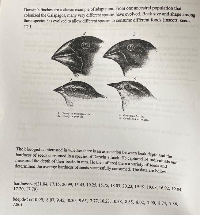 Darwin's finches are a classic example of adaptation. | Chegg.com