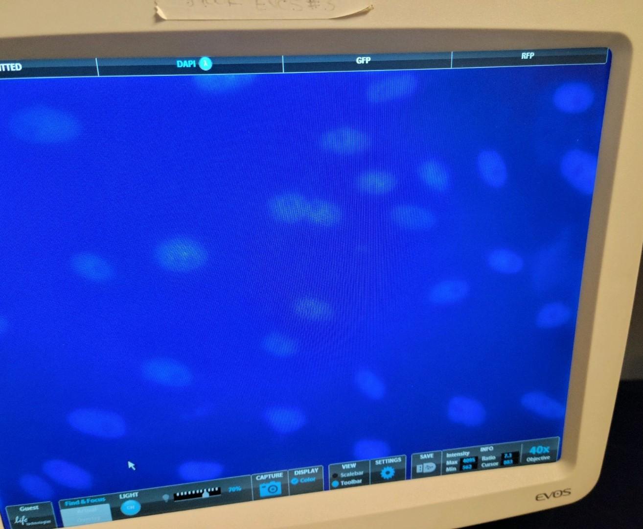 Solved 8 Acquiring Images With Evos Microscope Lab Goal