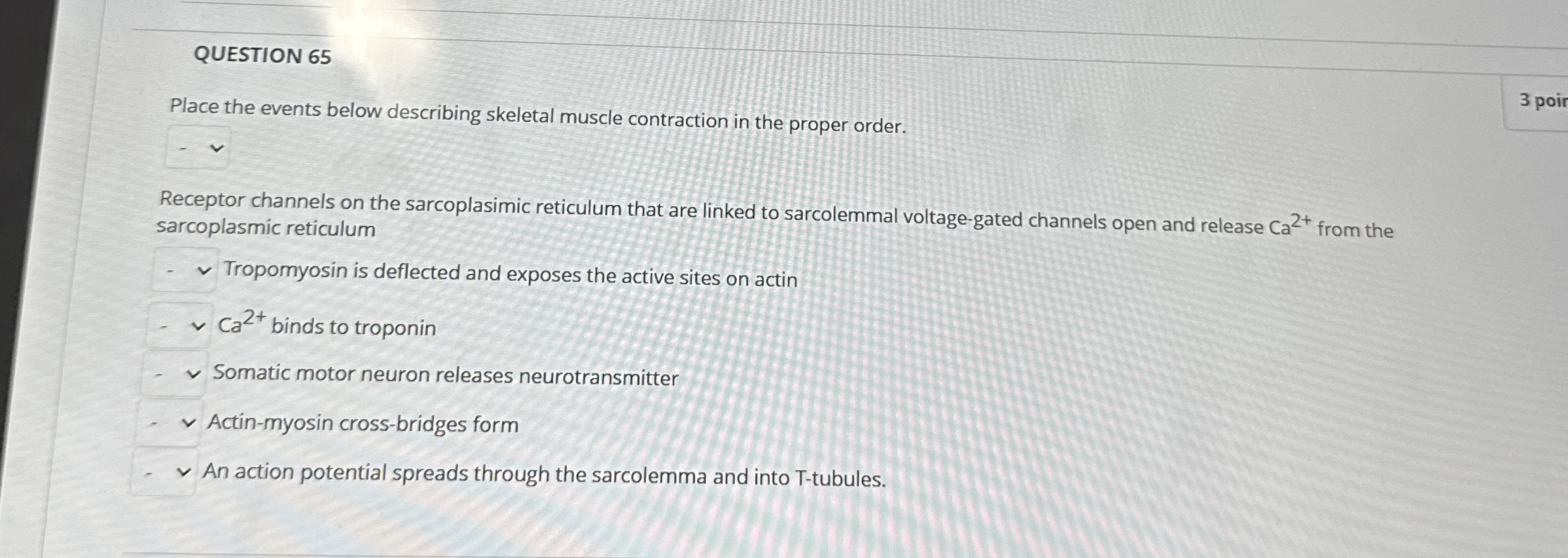 Solved QUESTION 65Place the events below describing skeletal | Chegg.com
