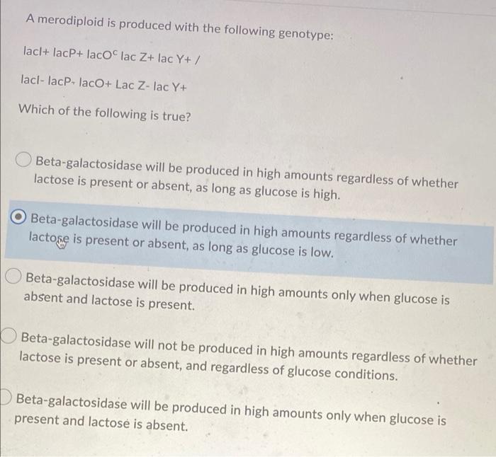 Solved A merodiploid is produced with the following | Chegg.com