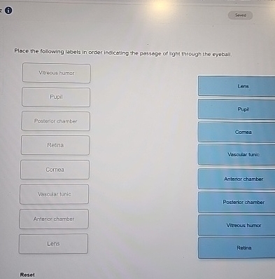 Solved Place the following labels in order indicating the | Chegg.com