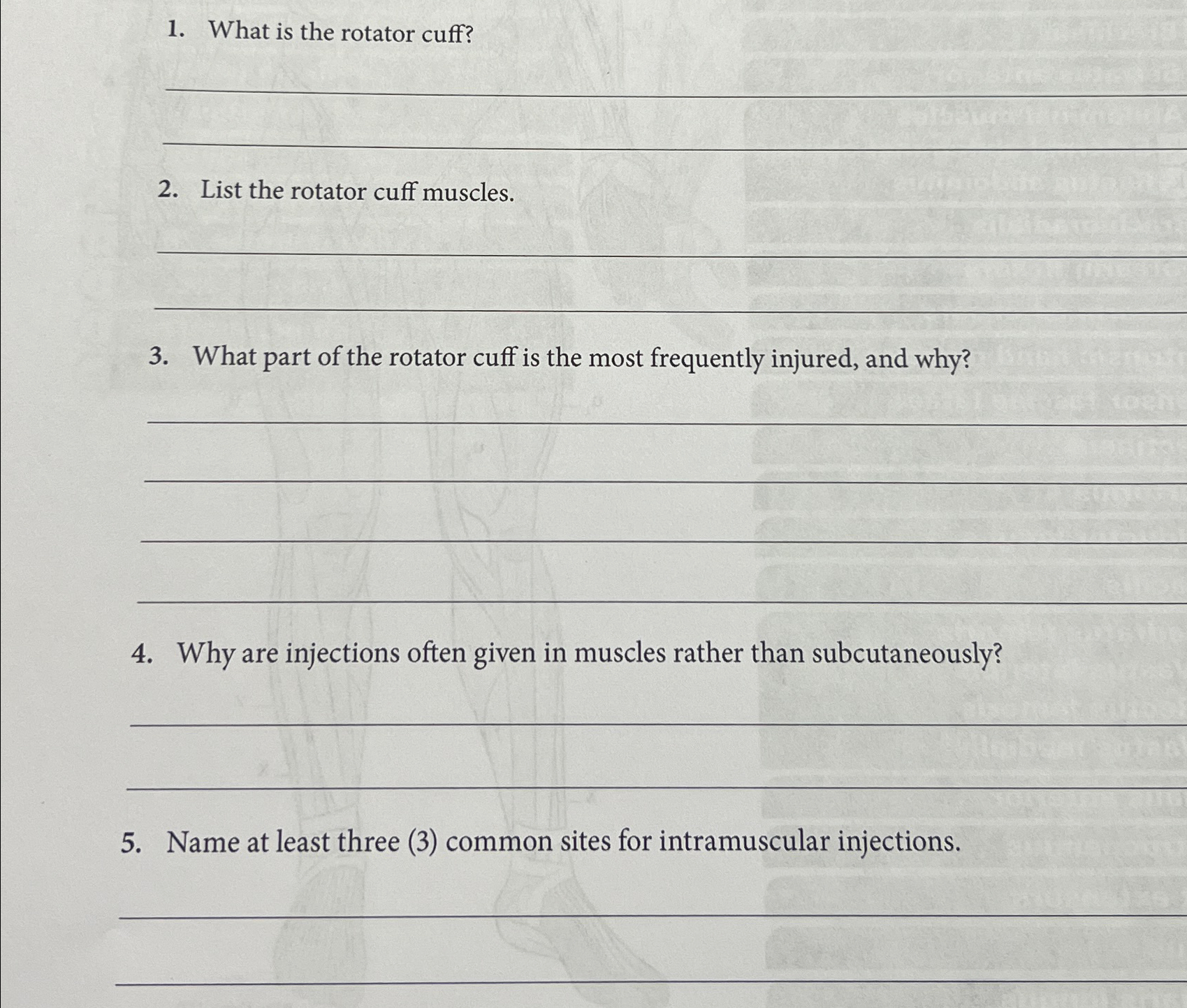 Solved What is the rotator cuff?q,q,List the rotator cuff | Chegg.com