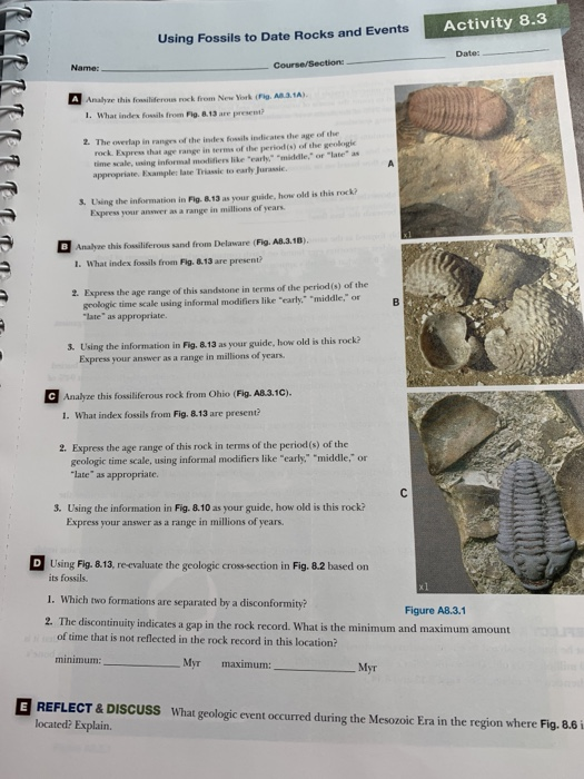 Activity 8.3 Using Fossils to Date Rocks and Events | Chegg.com