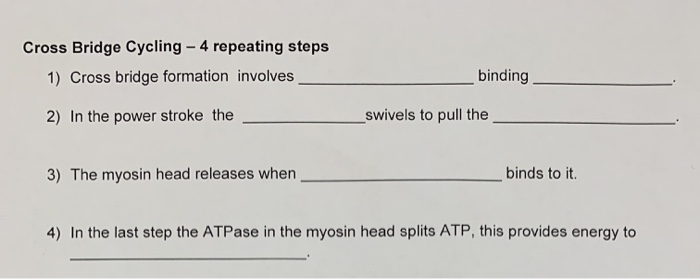 Solved Cross Bridge Cycling - 4 repeating steps 1) Cross | Chegg.com