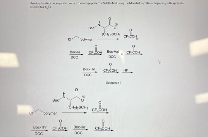 Solved Provide the steps necessary to prepare the | Chegg.com