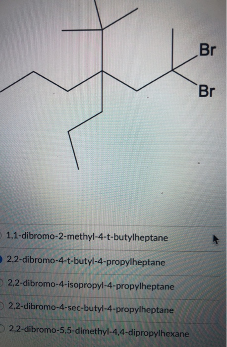Solved Br Br 1,1-dibromo-2-methyl-4-t-butylheptane | Chegg.com