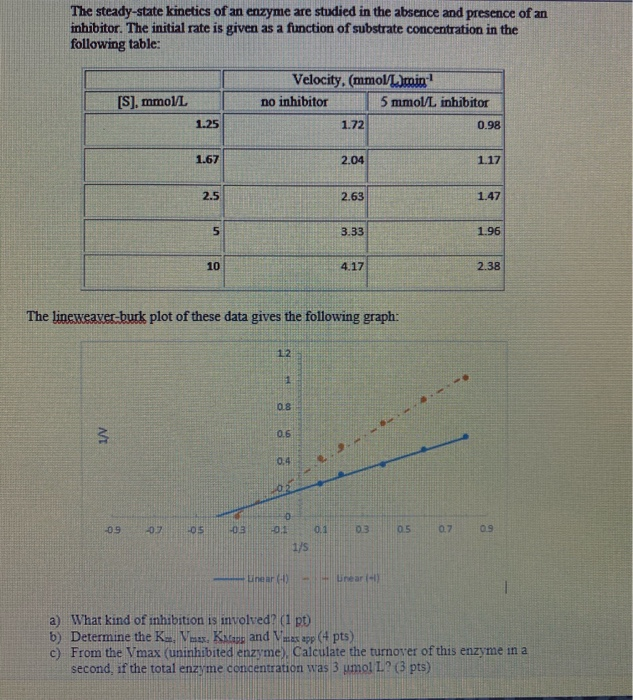 Solved The steady-state kinetics of an enzyme are studied in | Chegg.com