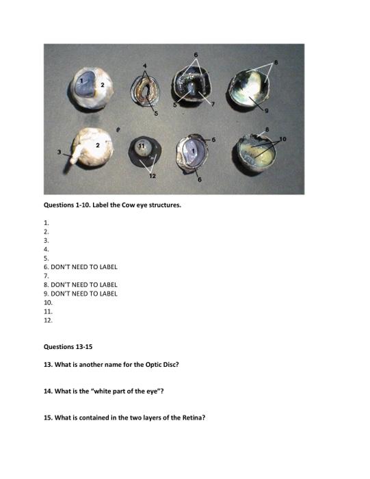 Solved Module 14 Lab Assignment Student Name Questions 1- 12 | Chegg.com