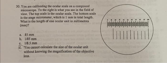 Solved 30. You are calibrating the ocular scale on a | Chegg.com