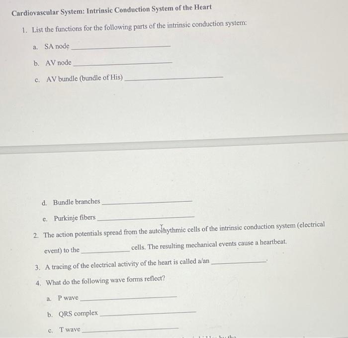 Solved Cardiovascular System: Intrinsic Conduction System of | Chegg.com