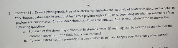 3. Chapter 33. Draw a phylogenetic tree of Bilateria | Chegg.com
