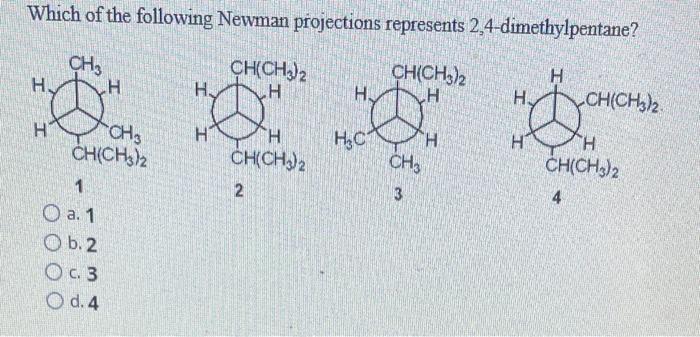 Solved Which of the following Newman projections represents | Chegg.com
