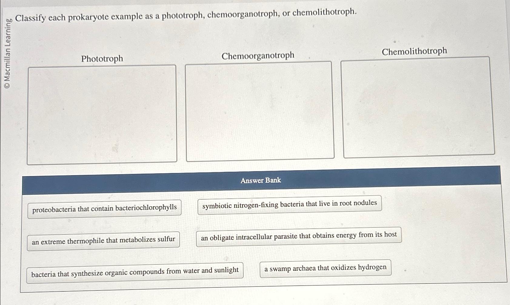Solved Classify each prokaryote example as a phototroph, | Chegg.com