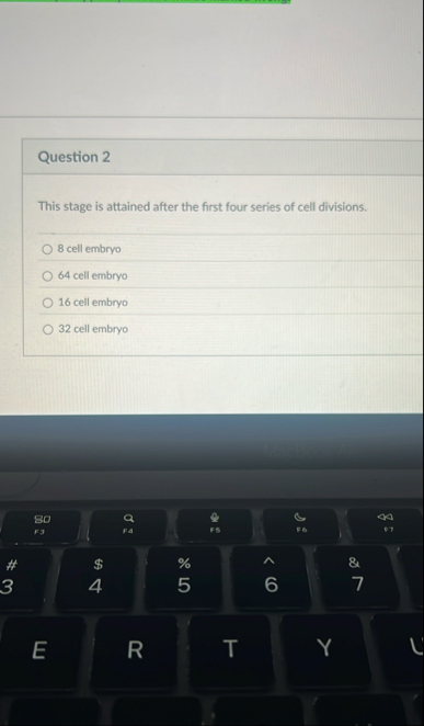 Solved Question 2This stage is attained after the first four | Chegg.com