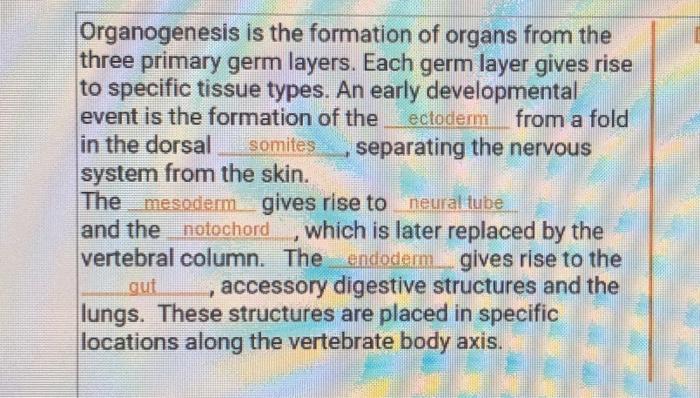 Solved Organogenesis is the formation of organs from the | Chegg.com