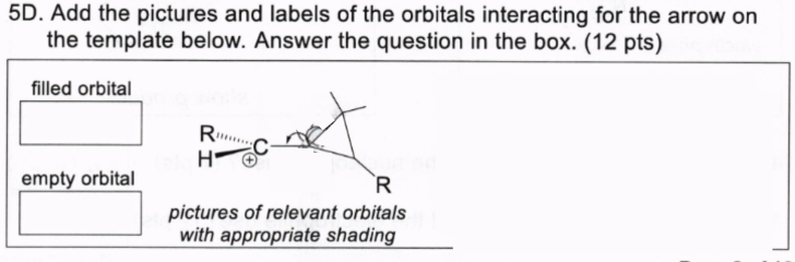Solved 5D. ﻿Add the pictures and labels of the orbitals | Chegg.com