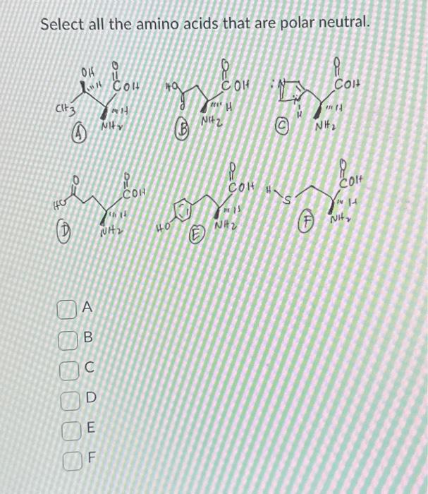 Solved Select all the amino acids that are polar neutral. | Chegg.com