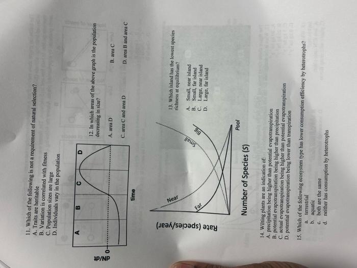 Solved Write your name and team. Write all answers as | Chegg.com