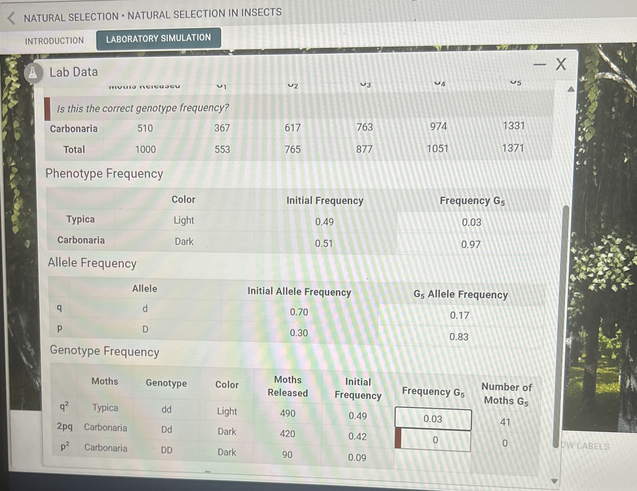 NATURAL SELECTION * ﻿NATURAL SELECTION IN | Chegg.com